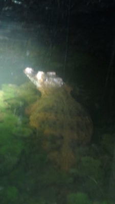 7 IMG_2396 – Vitav