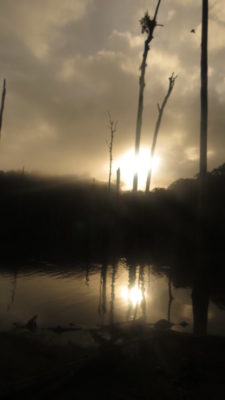 9 IMG_2555 – Vitav