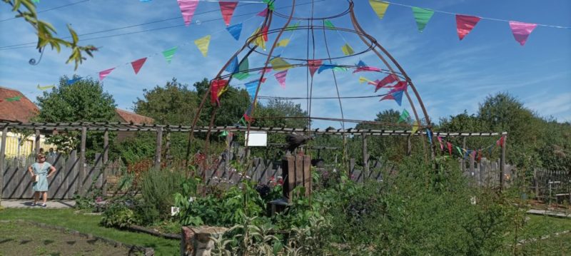 IMG_20230903_151848 – Vitav