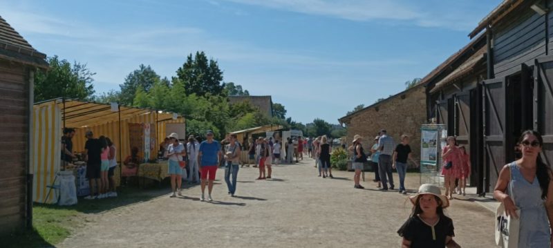 IMG_20230903_152043 – Vitav