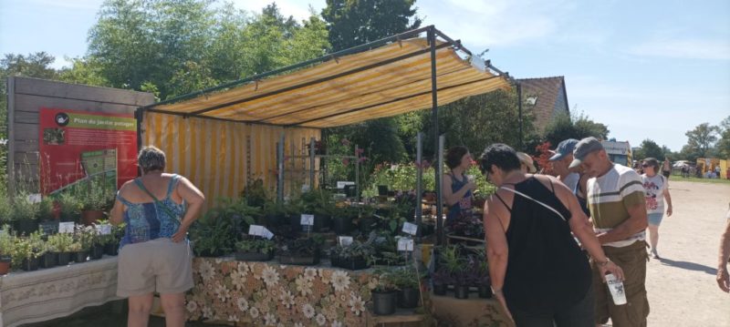 IMG_20230903_152722 – Vitav