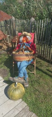 IMG_20230903_155540 – Vitav