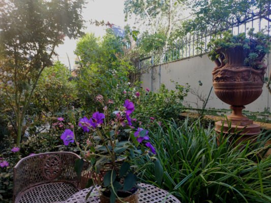 IMG_20230924_193722 – Vitav