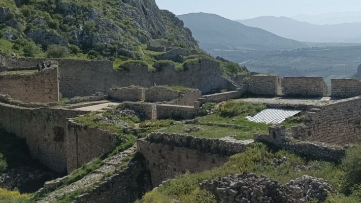 IMG_20240414_134731 – Vitav